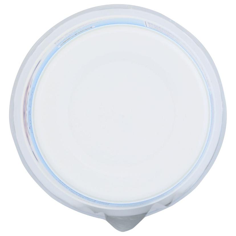 Fage Total 5 Percent Milkfat Plain Greek Yogurt, 32 Ounce -- 6 per case