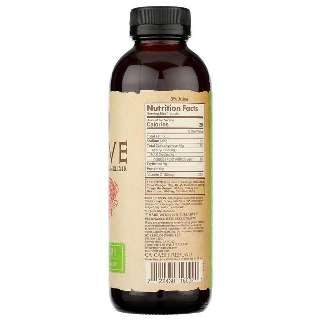 GT's Lemon Lime Alive Ancient Mushroom Elixir, 16 Fluid Ounce -- 12 per ...