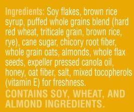 Kashi Go Honey Almond Flax Crunch Cereal, 17.7 Ounce -- 10 per case