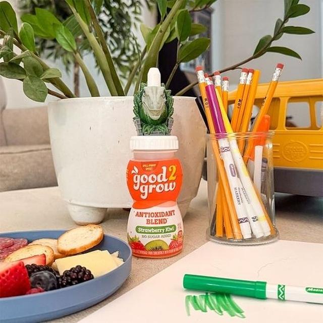 Good 2 Grow Strawberry Kiwi Antioxidant Blend Case | FoodServiceDirect